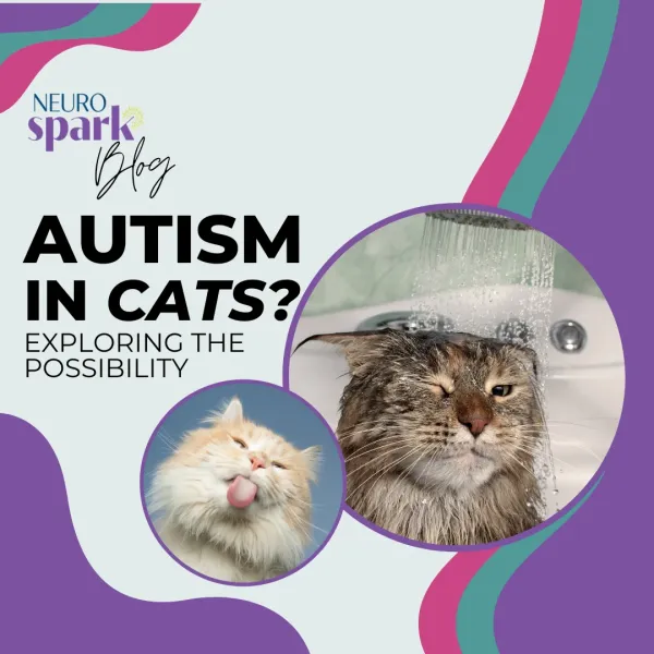 Can Cats Have Autism? 7 Surprising Facts